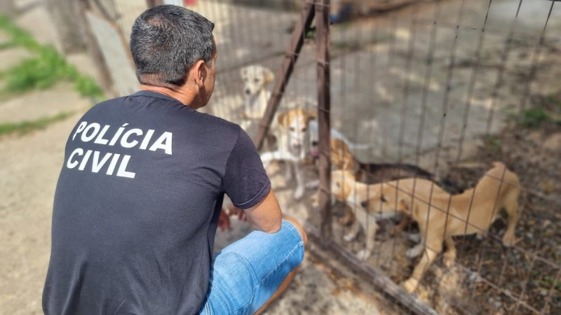 Policia Civil deflagra Operação É O Bicho II no Litoral Norte ...